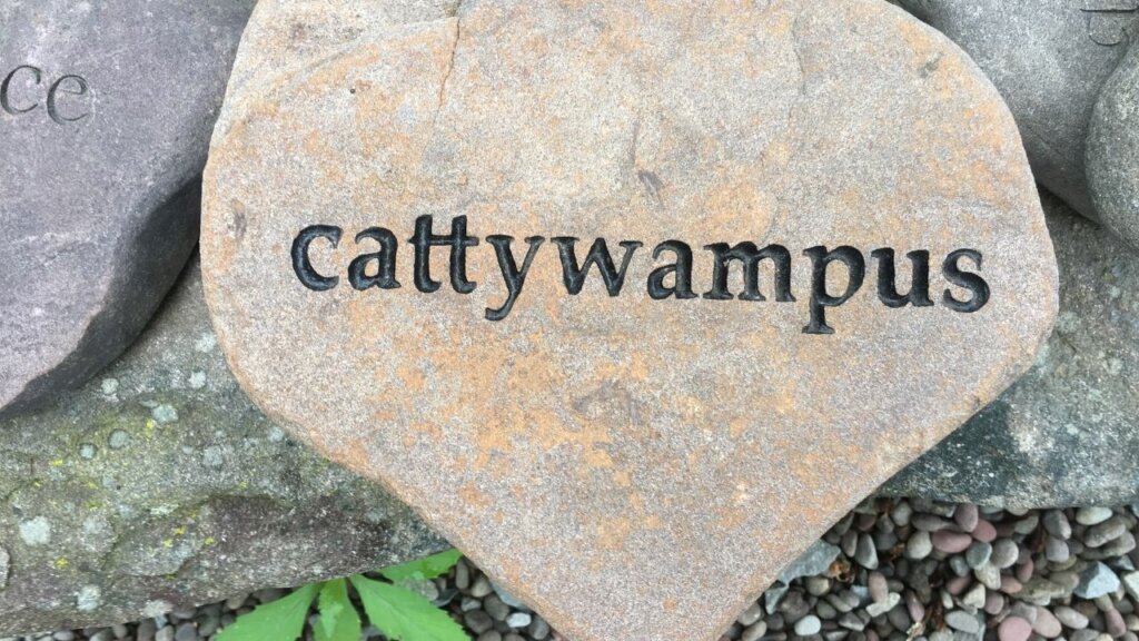 Cattywampus! is that a real word? Meaning and example. – Amazfeed