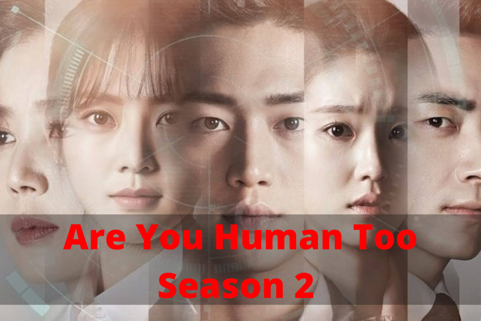 My Perfect Landing Season 2 Release Date, Spoilers, Cast – All We Know ...