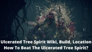 Newfissy Face Reveal, Real Name, Net Worth, Age, And Instagram » Amazfeed