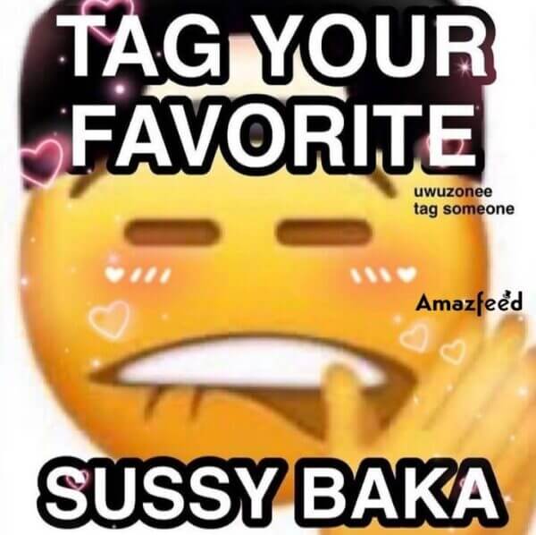What is Sussy Baka? | Among Us | Meme Origin, Explanation – Amazfeed
