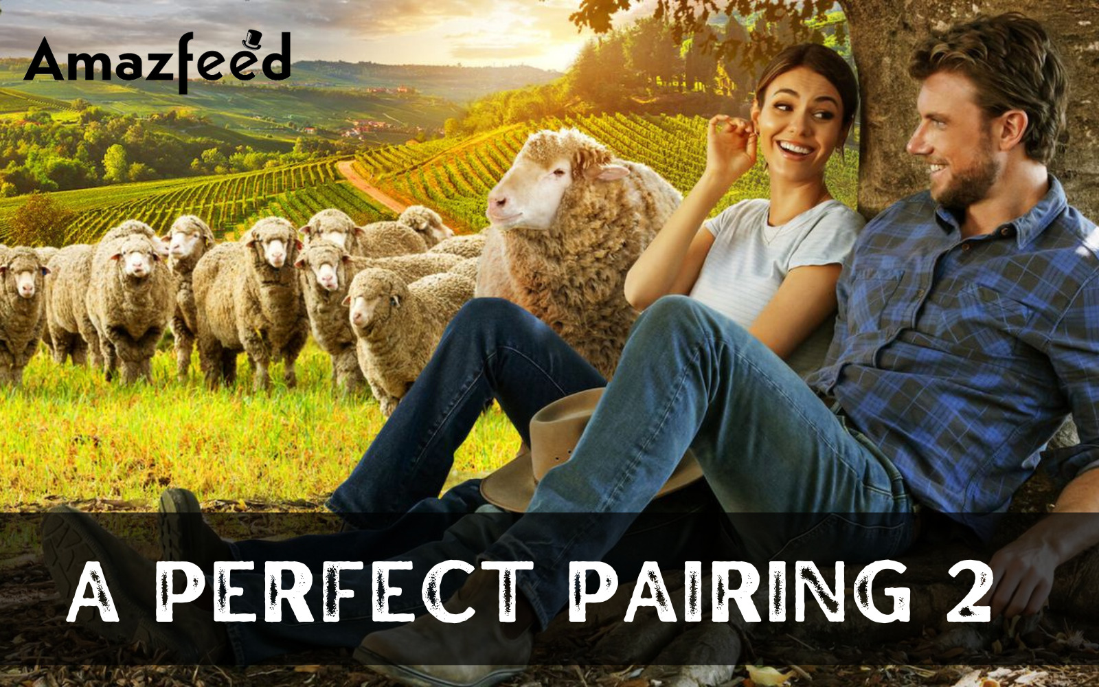 A Perfect Pairing 2 Release Date, Storyline, Trailer, Cast, and ...