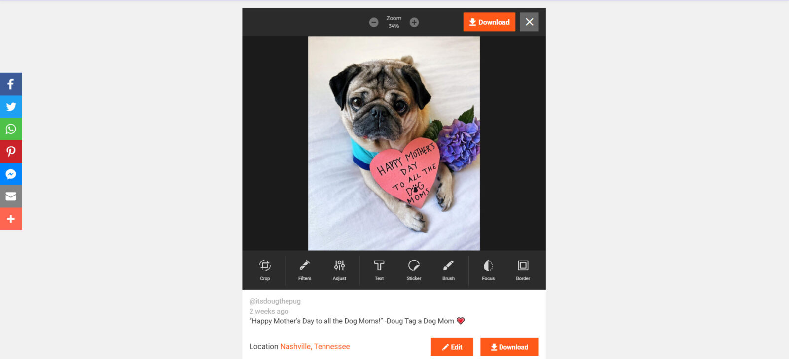 Picuki for Instagram - Is it Really Safe and Anonymous Instagram Viewer ...