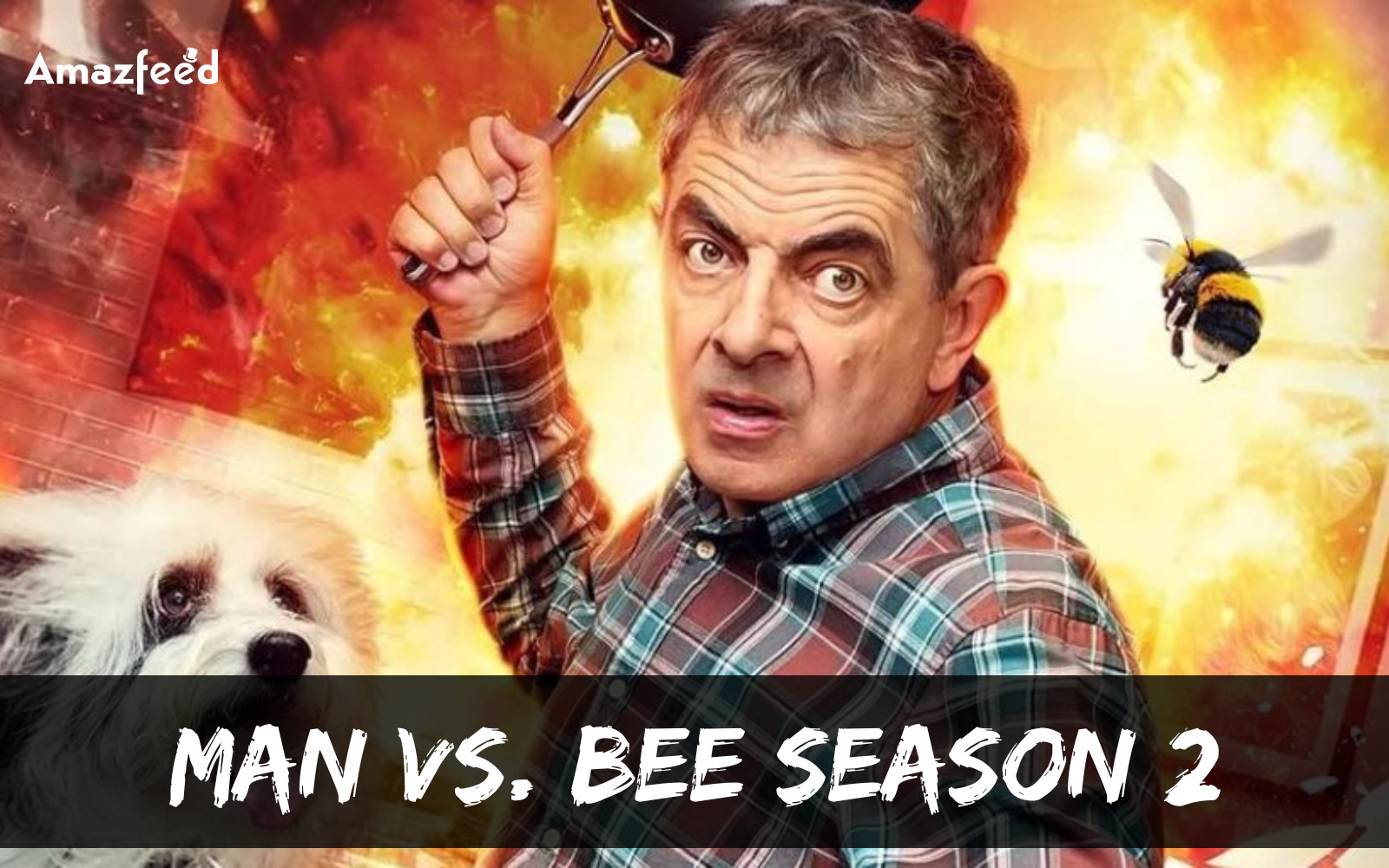 Man Vs. Bee Season 2 Potential Release Date, Cast, Spoiler, Plot ...