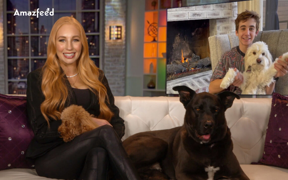World’s Funniest Animals Season 3 ⇒ Release Date, News, Cast, Spoilers ...