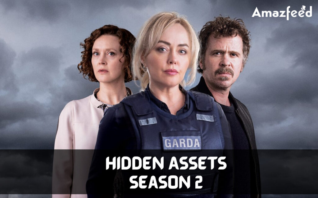 Is Hidden Assets Season 2 Confirmed? Amazone Revealed a Big ...