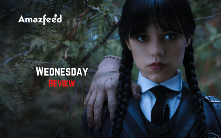 Netflix Series “Wednesday” Review & Age Rating | A Must-See Series From ...