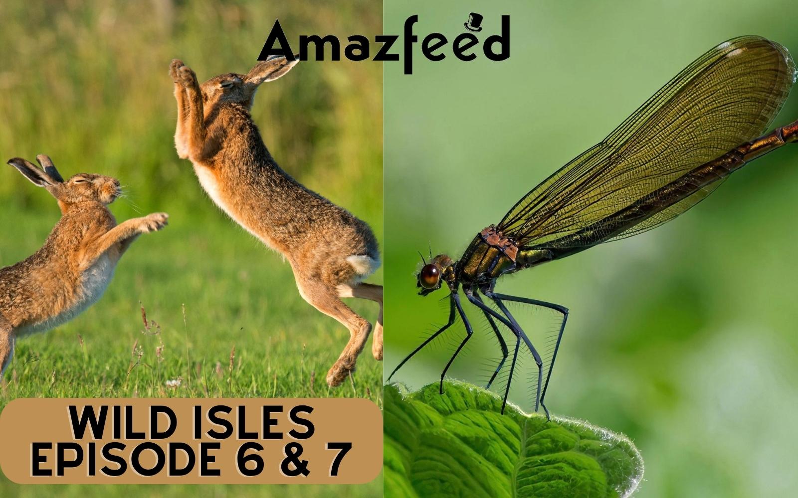 Wild Isles Episodes 6 & 7 Spoiler, Release Date, Storylines, Characters ...