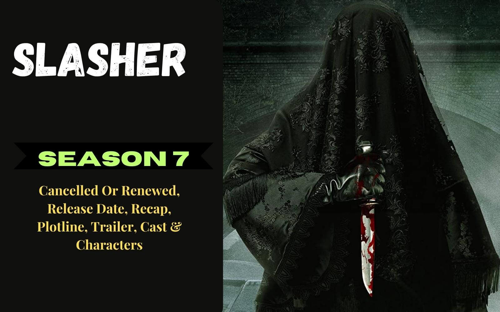 Slasher Season 7 Cancelled Or Renewed, Plotline, Release Date ...