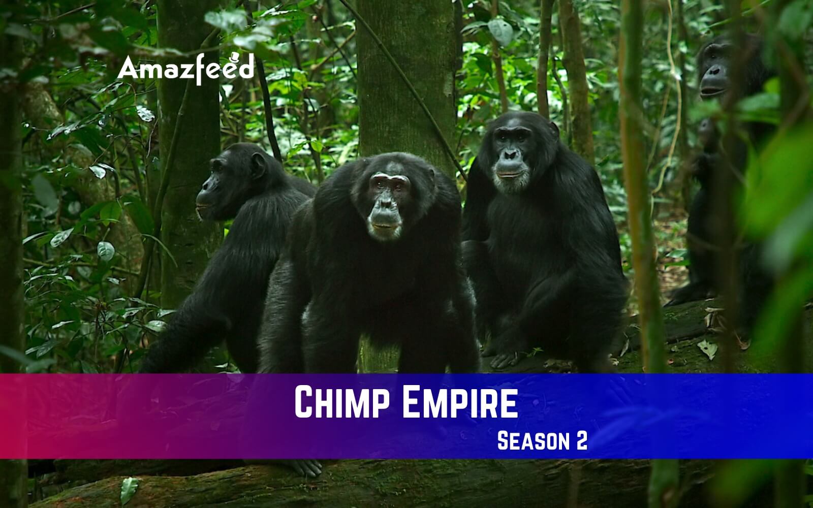 Chimp Empire Season 2 Release Date, Spoiler, Recap, Trailer, Where To ...