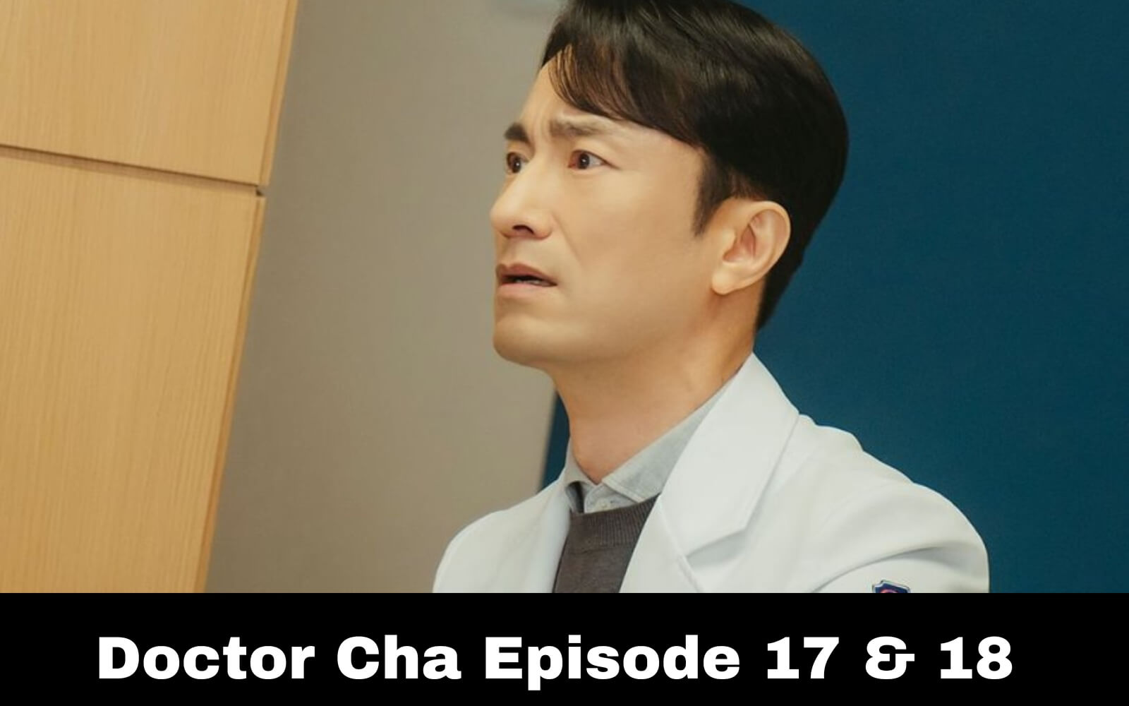 Doctor Cha Episode 17 & 18 Release Date, Previous Recap, Characters ...