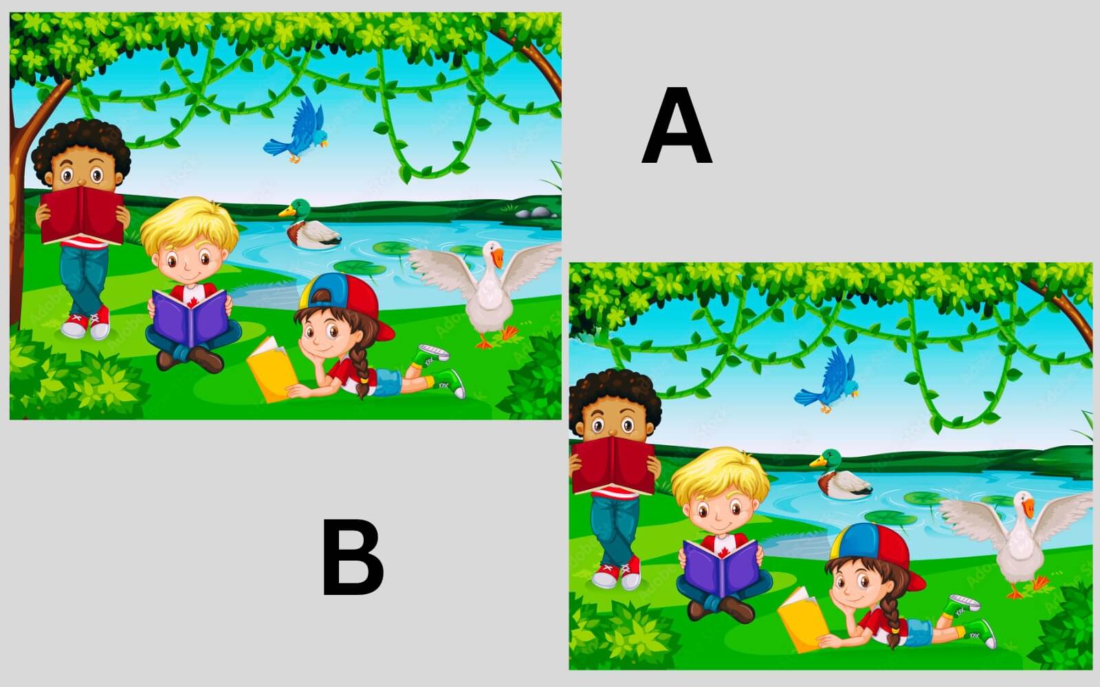 Optical Illusion: Can You Find Three Differences in This Nature Image ...