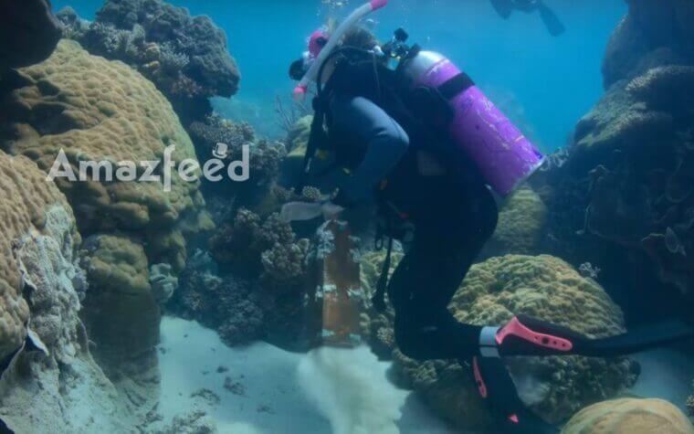 [Update] Will Dive Club Season 2 Return for Season 2 at Netflix? Dive ...