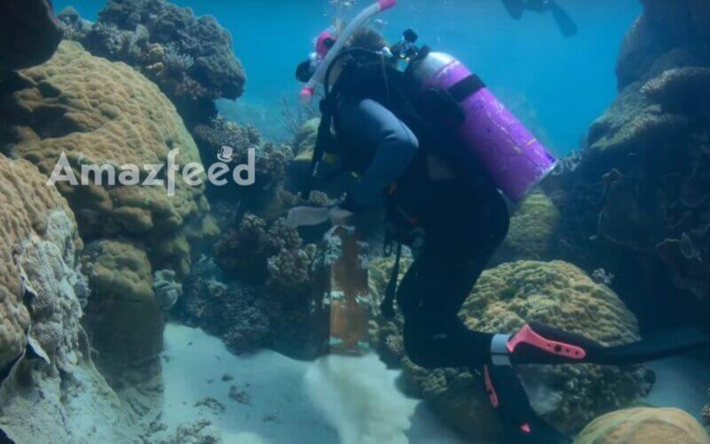 [Update] Will Dive Club Season 2 Return for Season 2 at Netflix? Dive ...