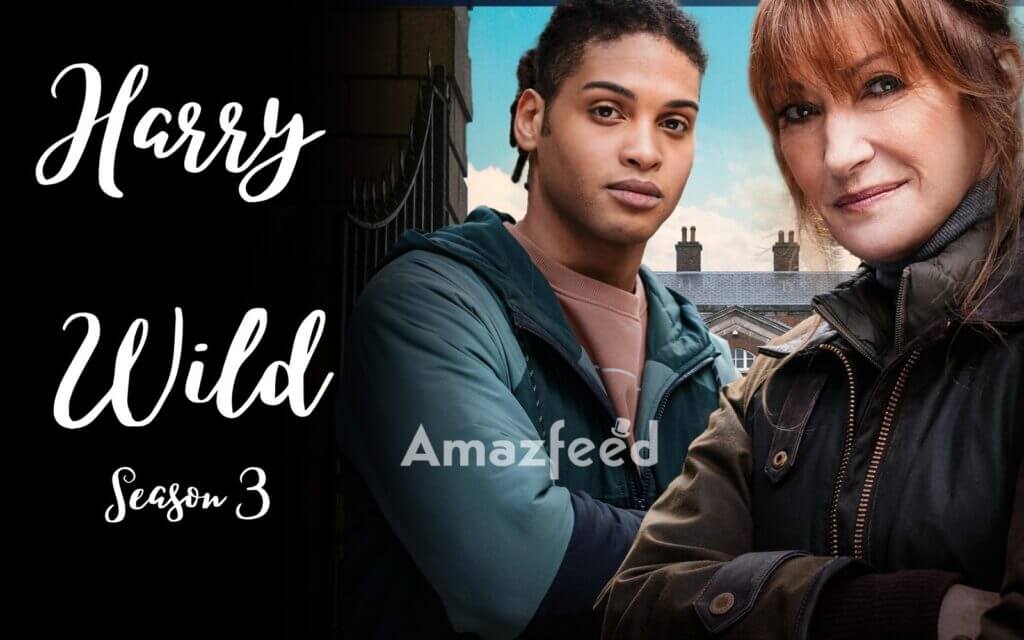 Is Season 3 of Amazon Prime Harry Wild Happening? Harry Wild Season 3 ...