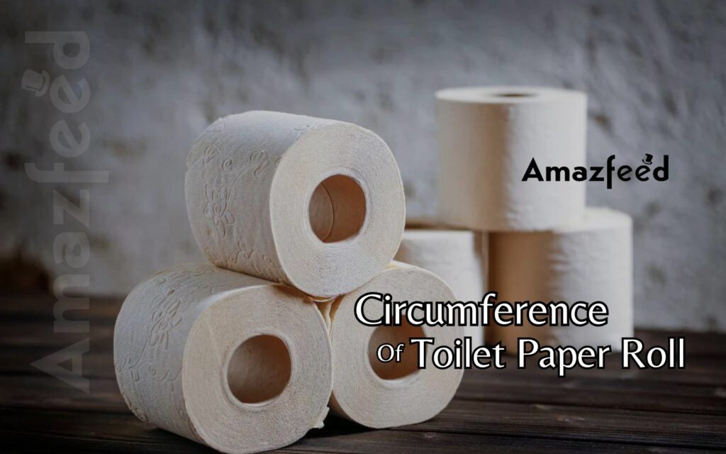 Circumference Of Toilet Paper Roll How Long Is A Toilet Paper Roll