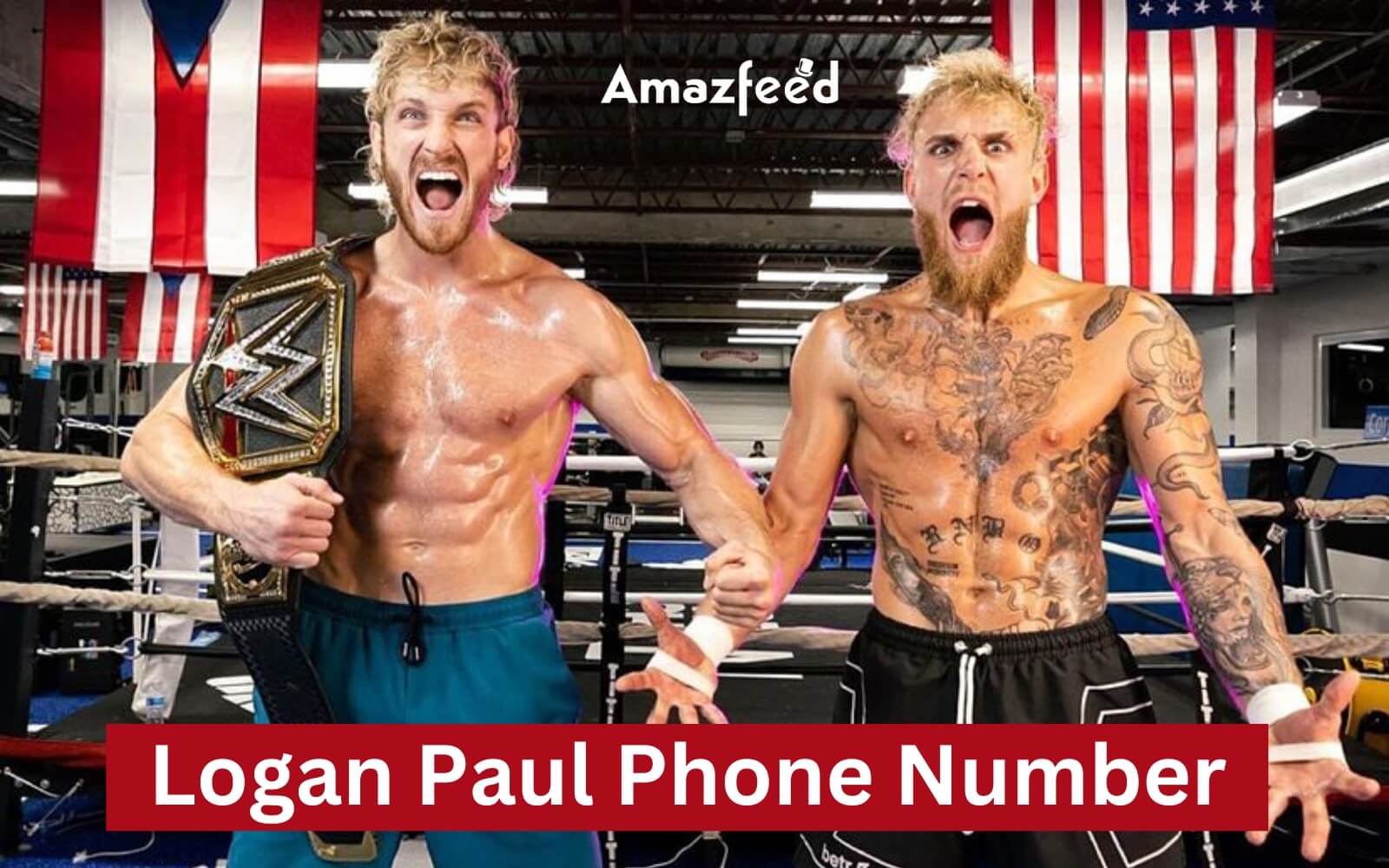 Logan Paul Phone Number, House Address, Email ID & Latest updates ...