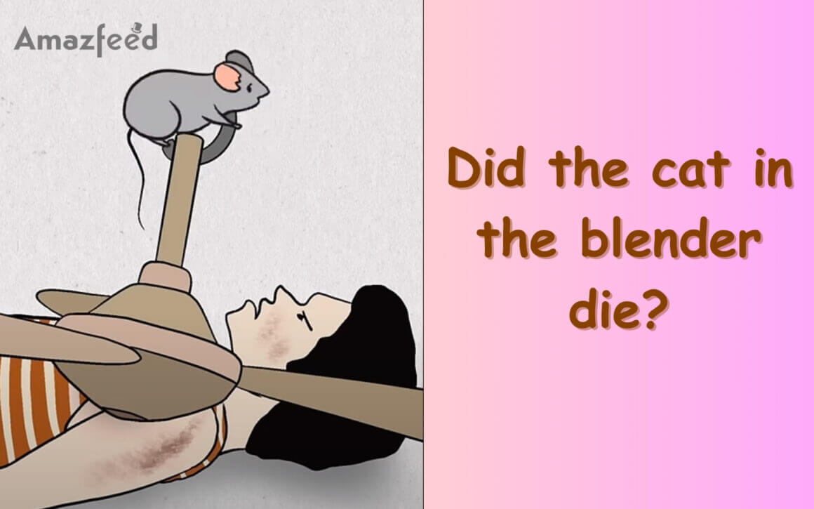 What is Cat In The Blender video? Is the Cat in the Blender Still Alive ...
