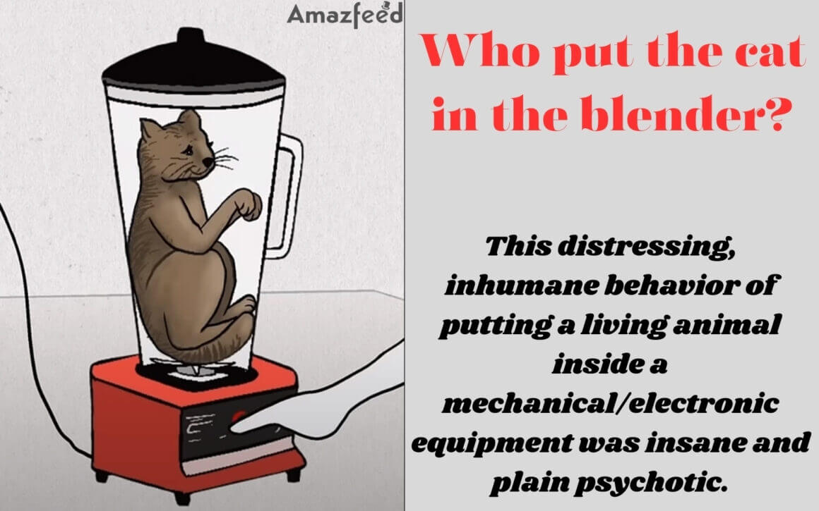 What is Cat In The Blender video? Is the Cat in the Blender Still Alive ...