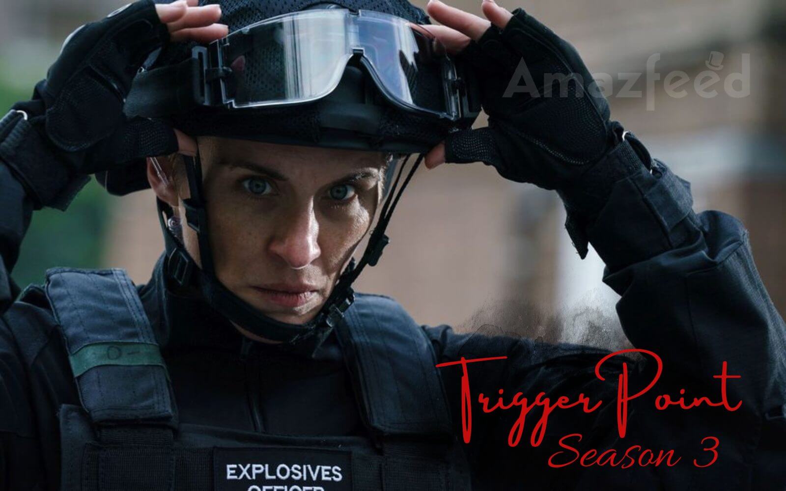 Is Trigger Point Coming Back for Season 3? Trigger Point Season 3 ...