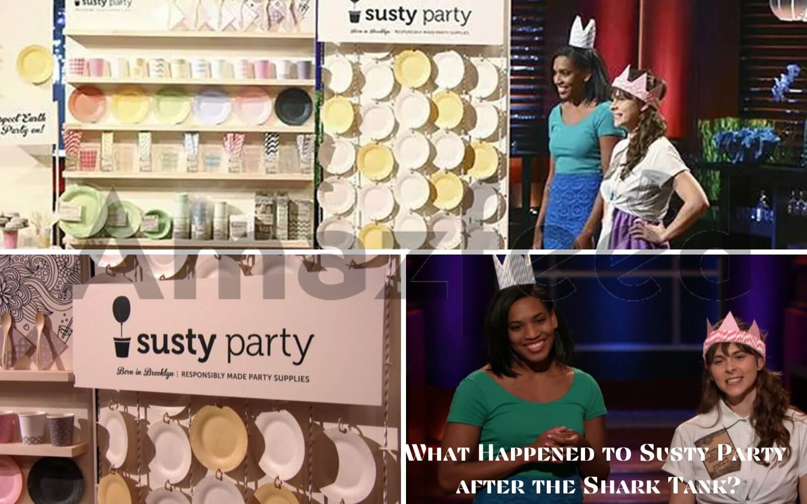 Susty Party Net Worth: Susty Party Supplies Update | Shark Tank Season ...