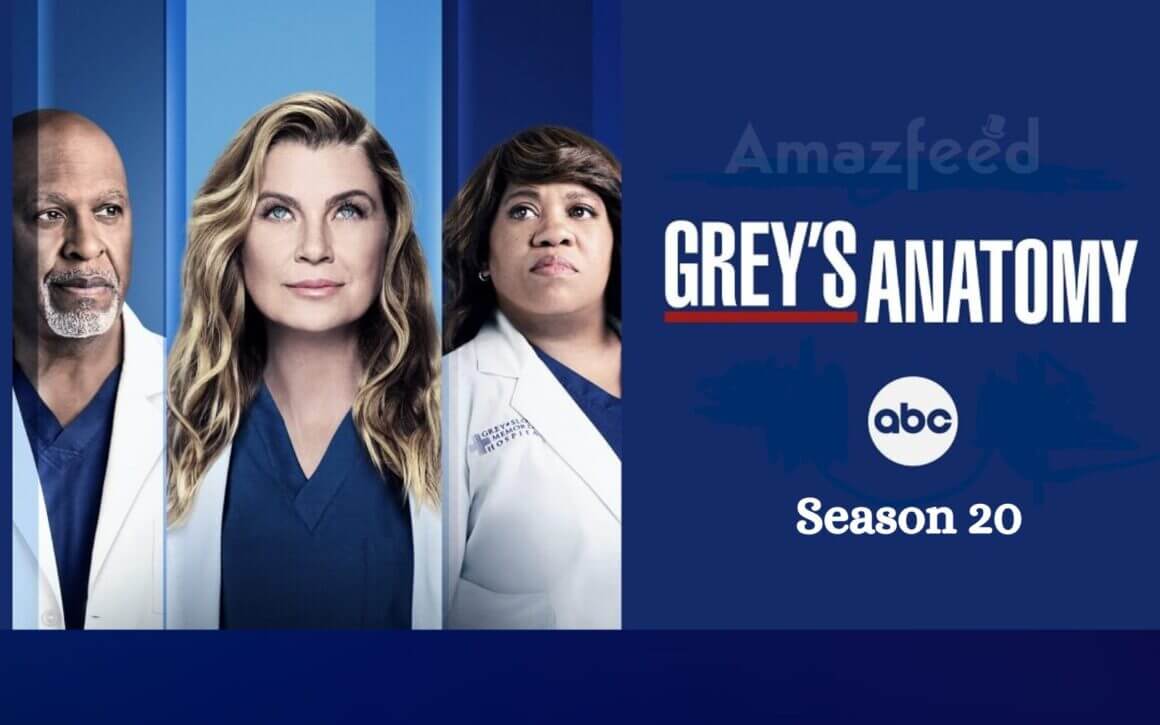 Is Grey's Anatomy Season 20 Coming [Release Date] » Amazfeed