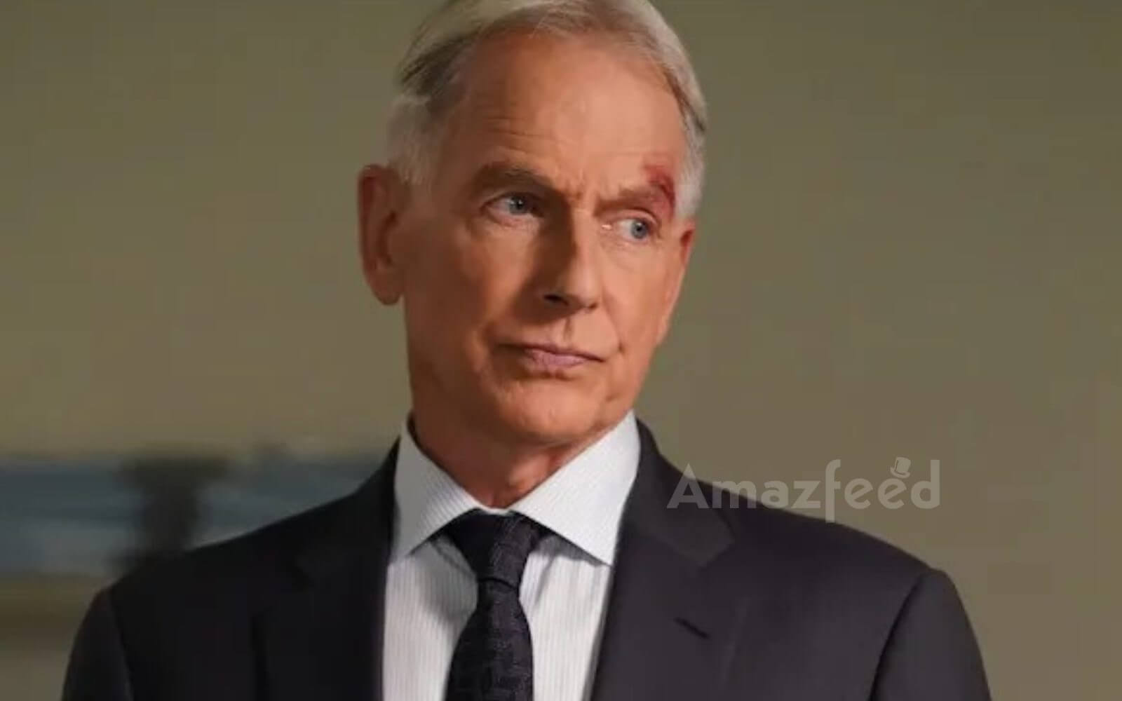 NCIS: Origins Episode 1: Release Date, Spoilers & Streaming Guide ...
